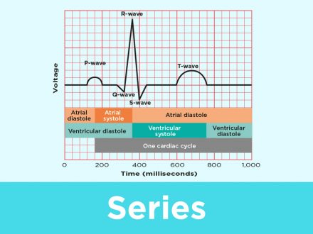 Skills update: electrocardiogram | Nursing Times