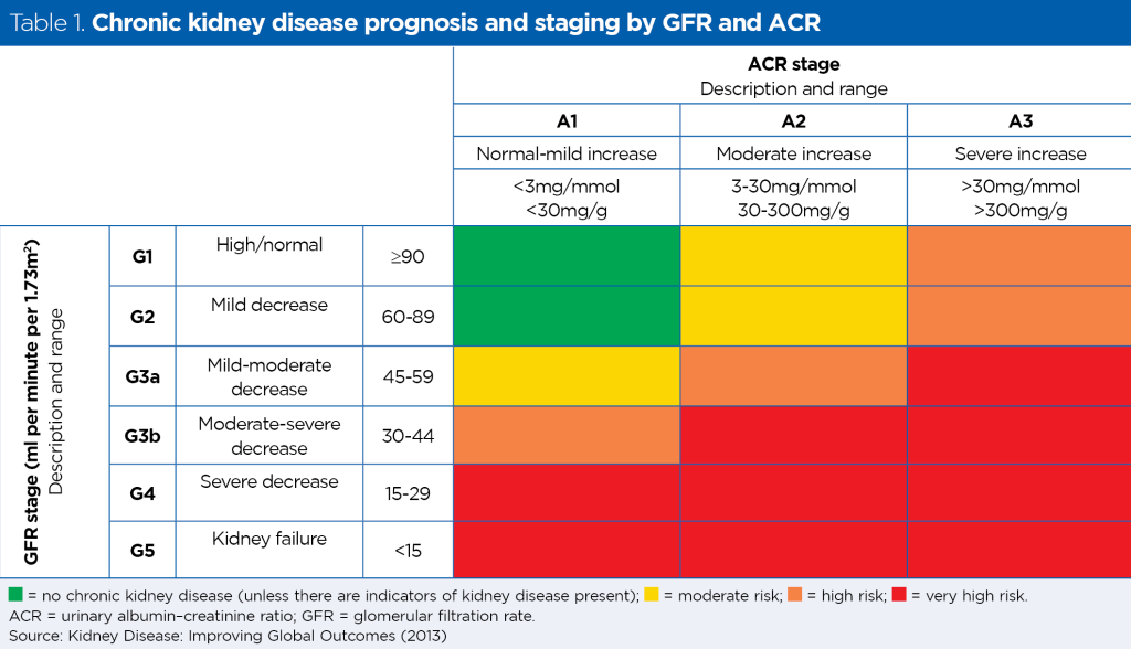 Renal system 4: causes, diagnosis and treatment of chronic kidney ...