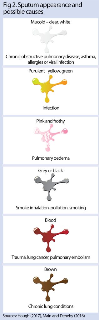 How to carry out a respiratory assessment in advanced practice ...
