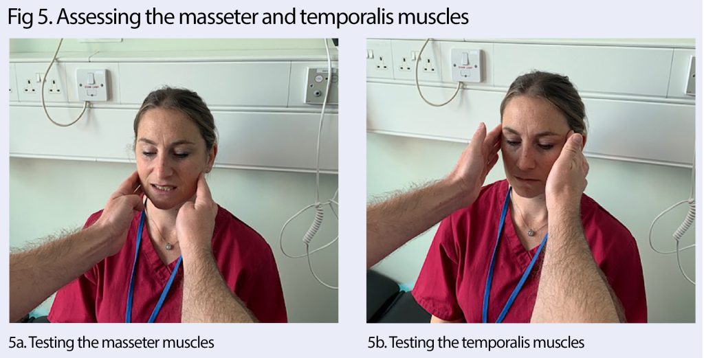 Performing a cranial nerve examination and interpreting the findings ...